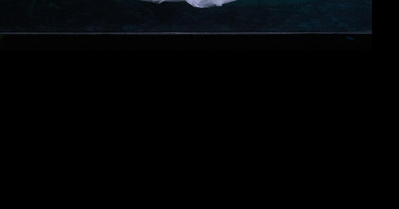 KC ballet dancer Whitney Huell to perform in Greenville, SC ...