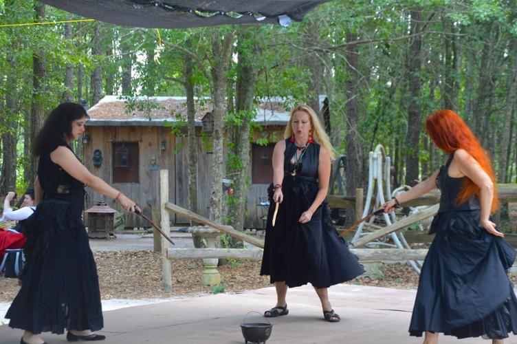 Dragon Faire brings medieval fantasy 'subculture' to Aiken County