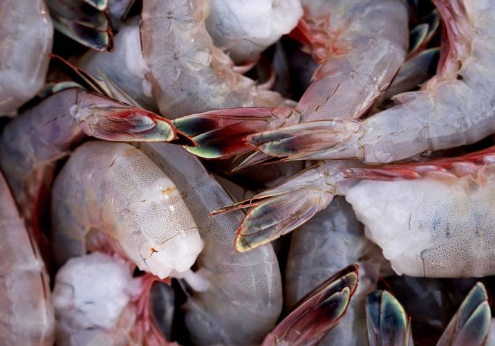 South Carolina's 2024 shrimp season starts April 19