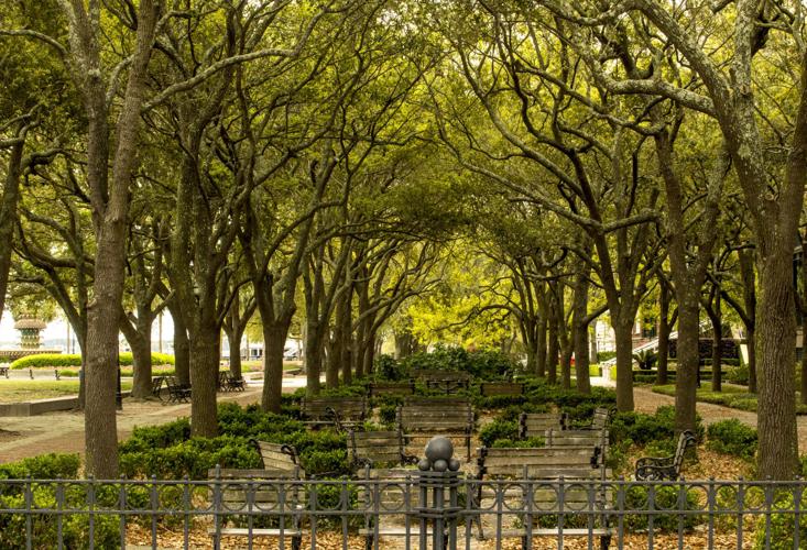 Charleston's Union Pier to get a new master-planning firm