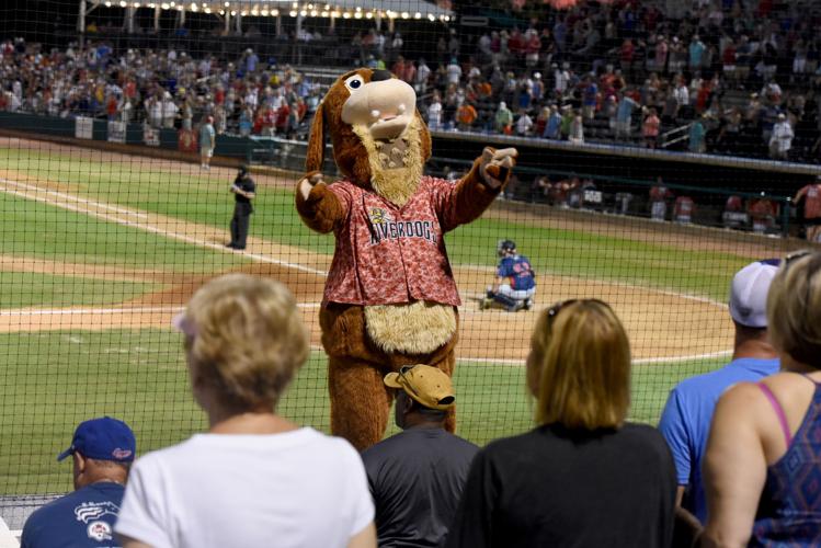 RiverDogs fans and fireworks