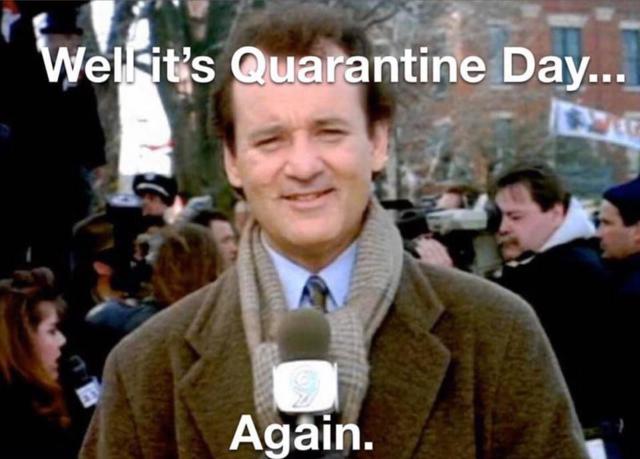 We've got a compilation of the best coronavirus memes to lift your spirits