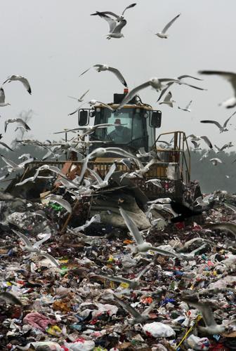 Berkeley County breaking ground on $42 million recycling facility