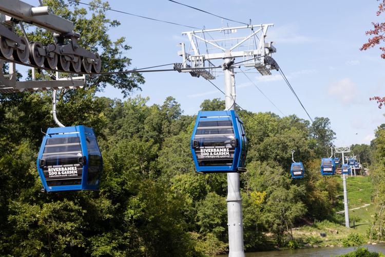 Riverbanks Zoo and Garden set to open new cable cars in SC