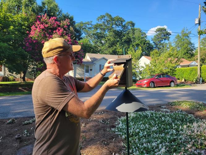 What are the new nest boxes for at Riverview Park?