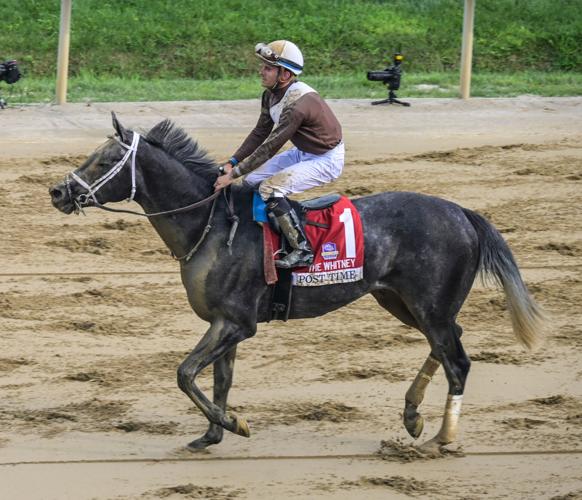 Aiken-trained Post Time set to run in Breeders' Cup
