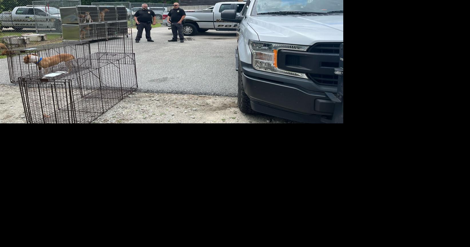 ANIMAL CONNECTION: S.C. is taking a stand for animal welfare with cost ...