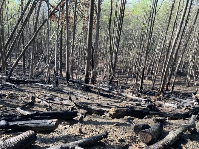 A look at what the Table Rock mountain wildfire left behind