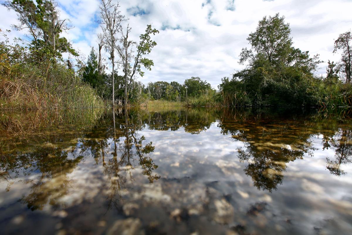 Kayaking the Combahee River in celebration of Harriet Tubman | Photo ...