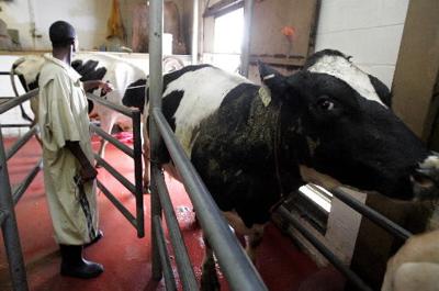 South Carolina’s largest dairy will be at prison