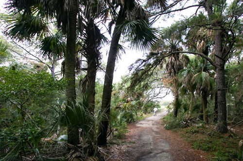 Botany Bay Plantation