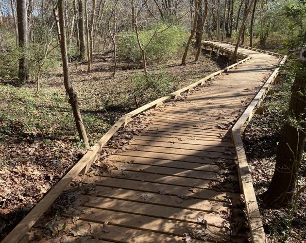 Champion of Upstate SC environmental causes takes lead at Greenville's ...