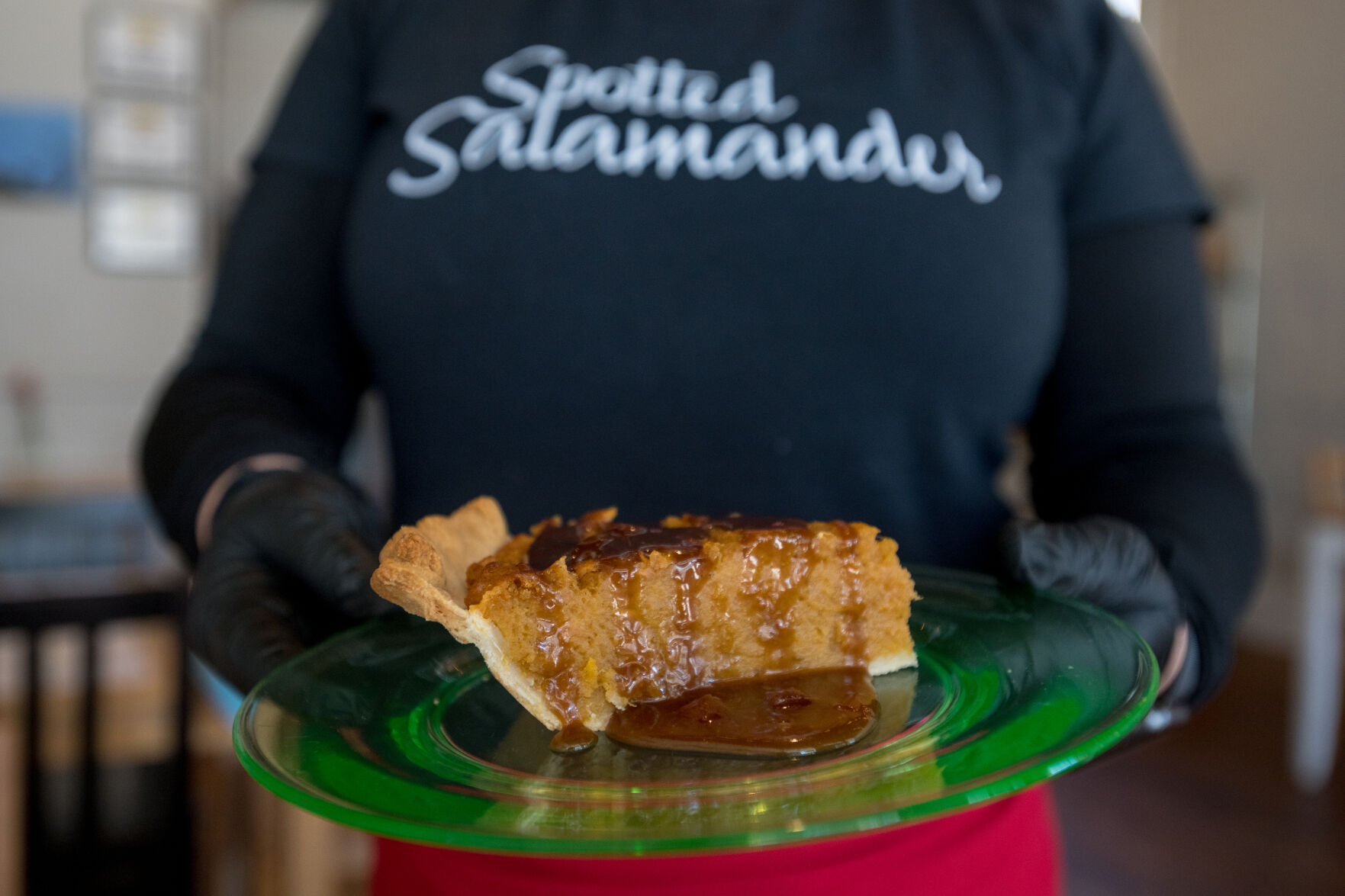 Spotted Salamander Columbia Shop | emergencydentistry.com