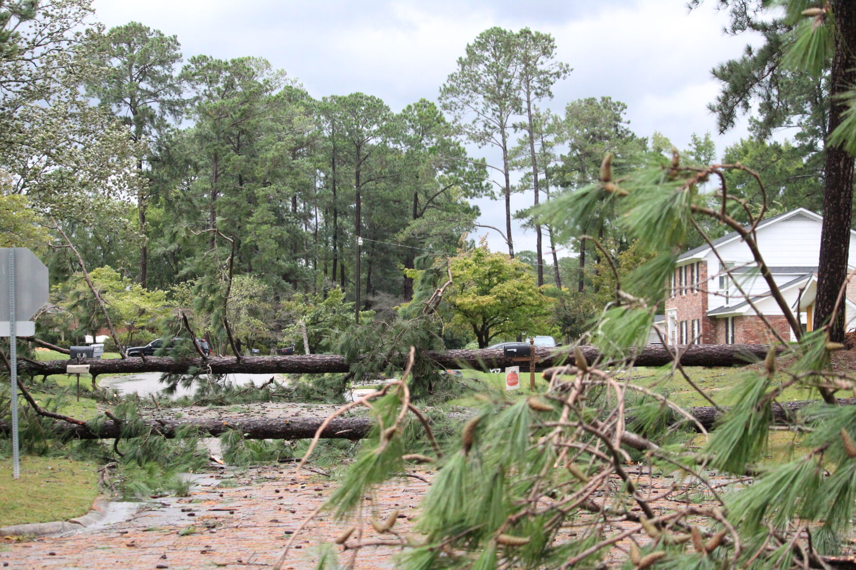 Power outages, roads closed in Columbia, SC from Helene