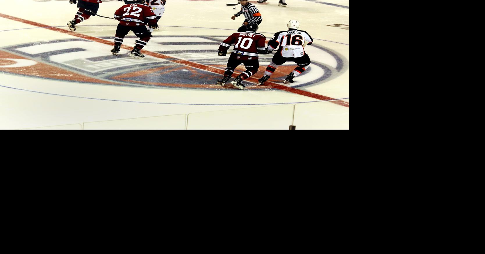 South Carolina Stingrays celebrate 25th anniversary with 4-3 win over ...