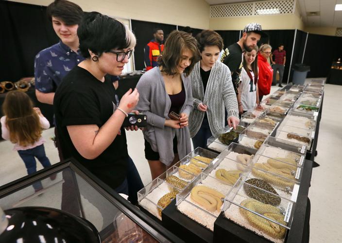 Repticon's Lowcountry visit | Photos from The Post and Courier ...
