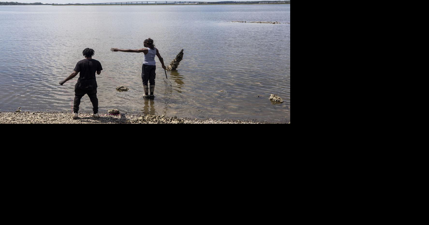 Mark Clark Extension puts 40 acres of wetlands at risk