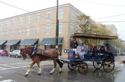 Charleston Tourism Commission to revisit debate over carriage horses ...