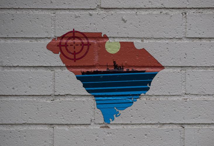 Second Amendment sanctuary counties taking root in rural SC and growing