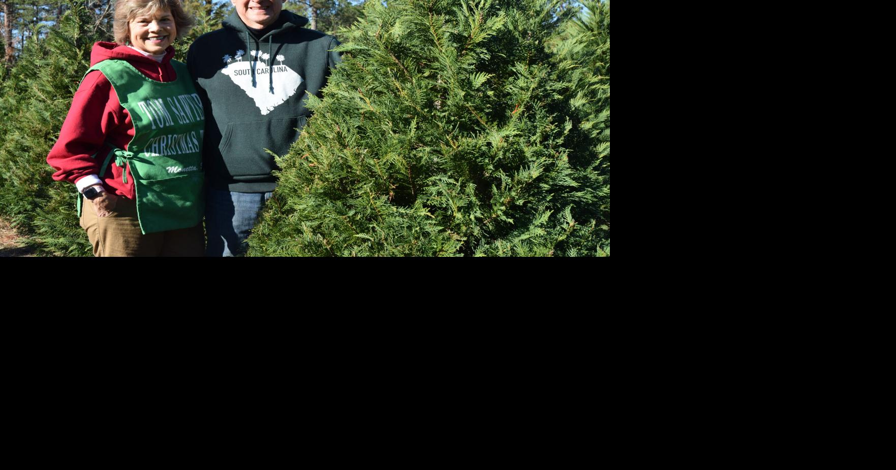 Family farm near Monetta focuses on Christmas trees all year