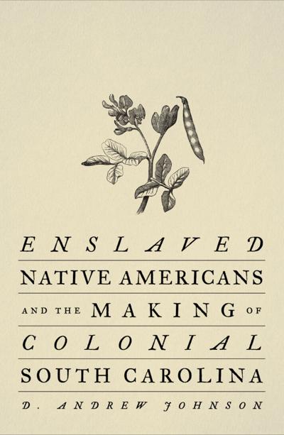 Book review: 'Enslaved Native Americans,' D. Andrew Johnson