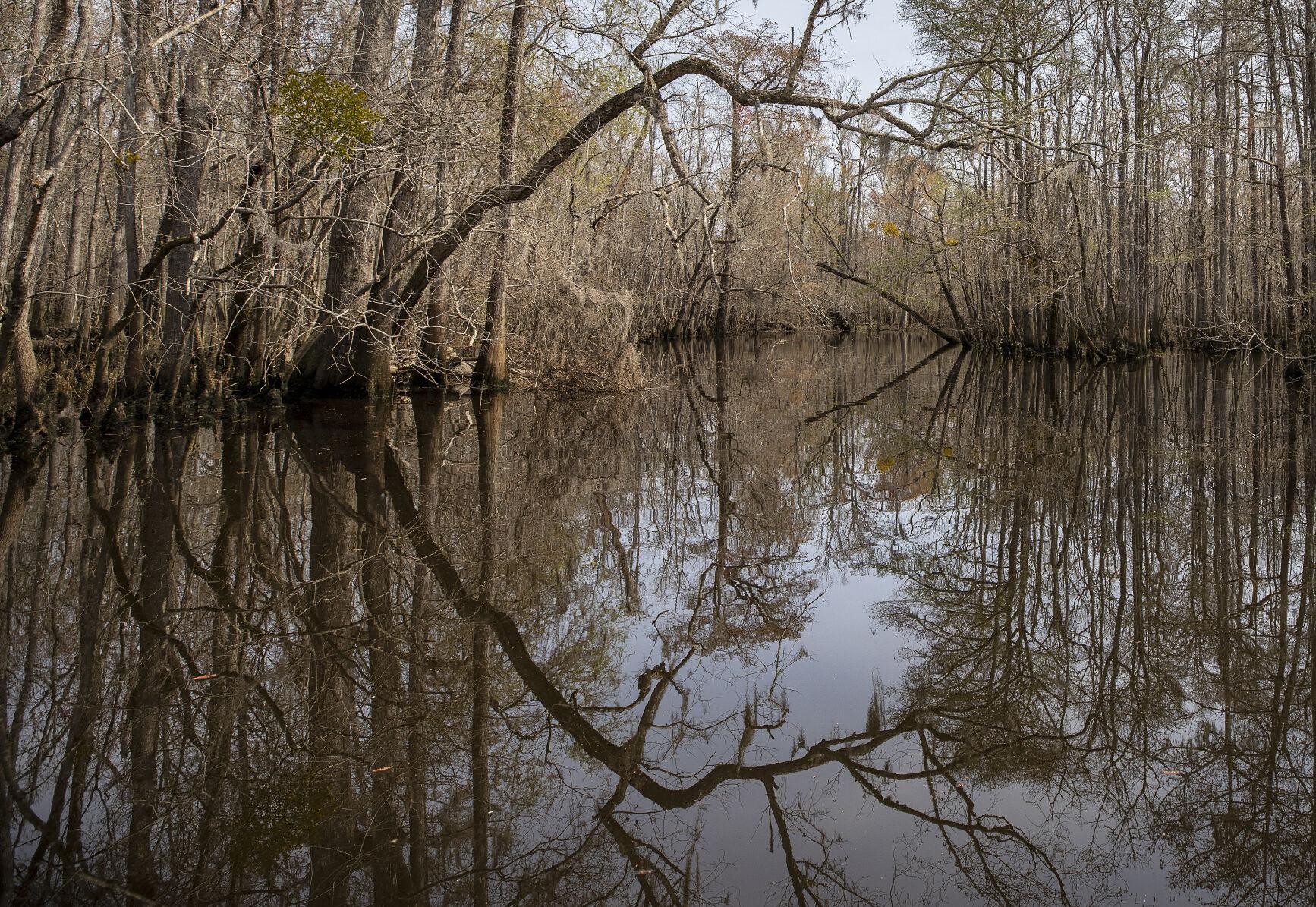 SC's ambitious Black River park project will provide public access to ...