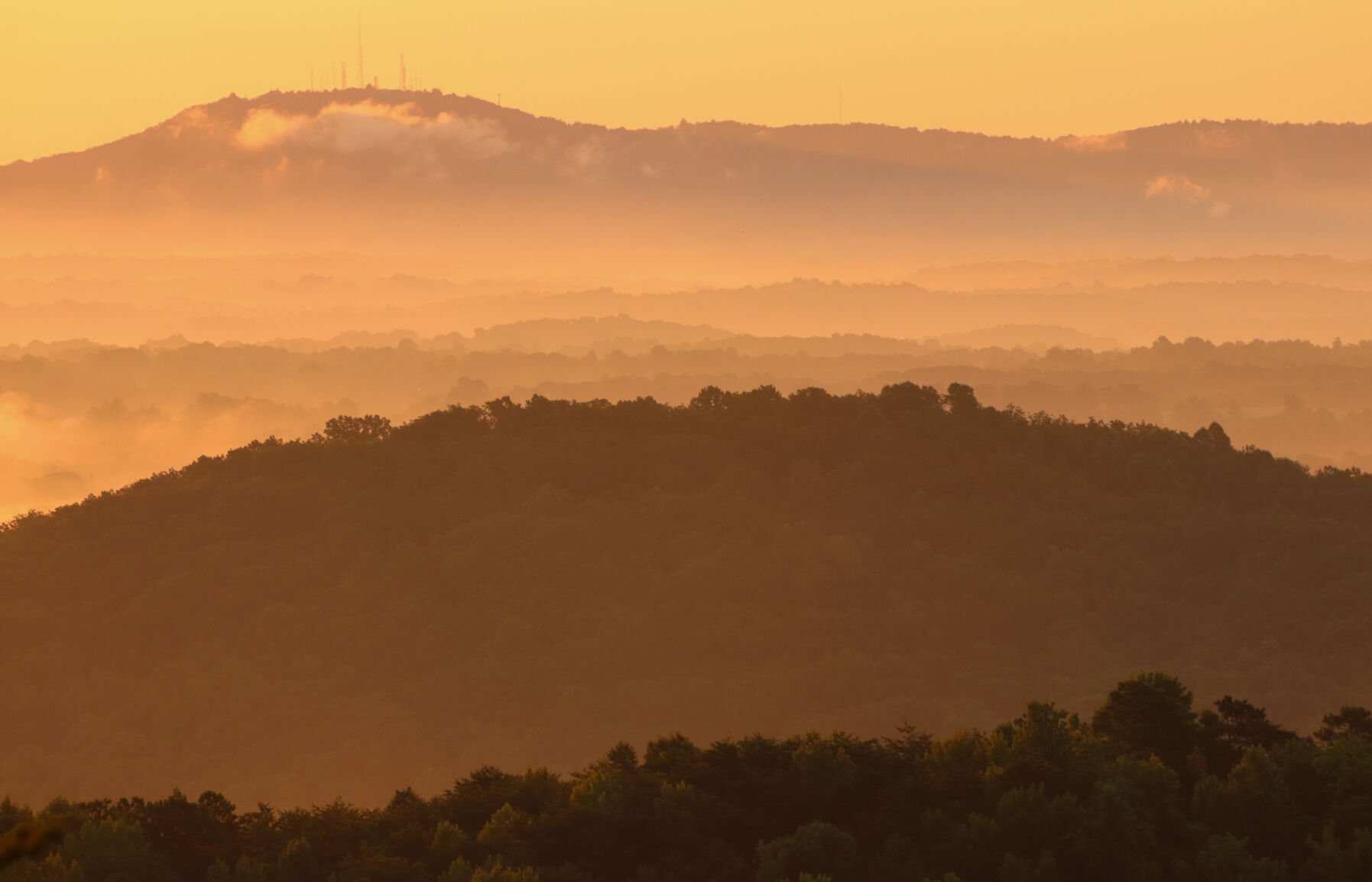 Greenville’s Paris Mountain State park to grow by 87 acres