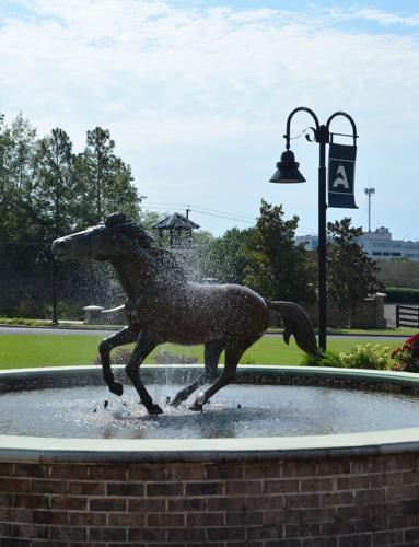 USC Aiken implements text messaging program to update school sponsors