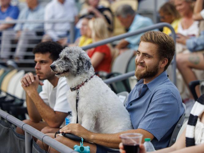 Defending Charleston Open champion Danielle Collins prevails