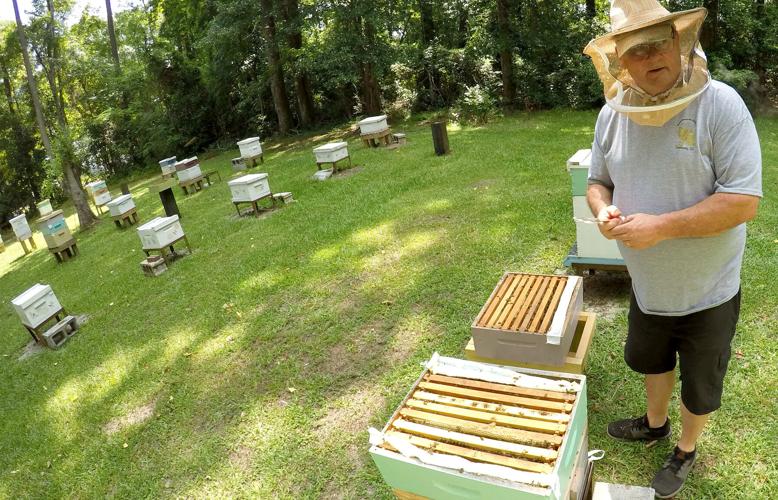 Grand Strand beekeepers highlight beekeeping dos and don'ts