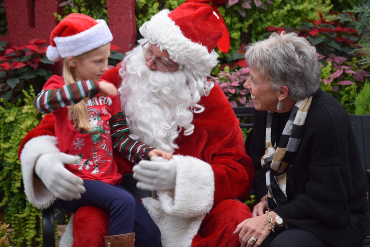 TV host Vera Stewart offers holiday decorating, cooking tips in Winter ...