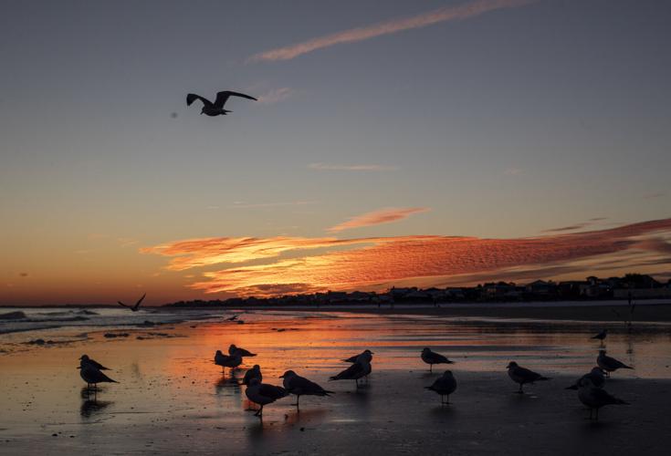 Photos: Snow on Folly Beach after a rare winter storm