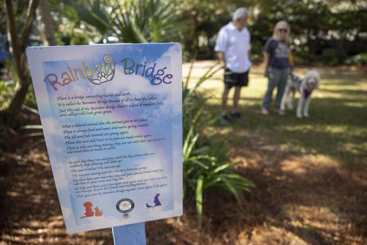 Folly Beach's Rainbow Bridge a place to grieve, honor pets