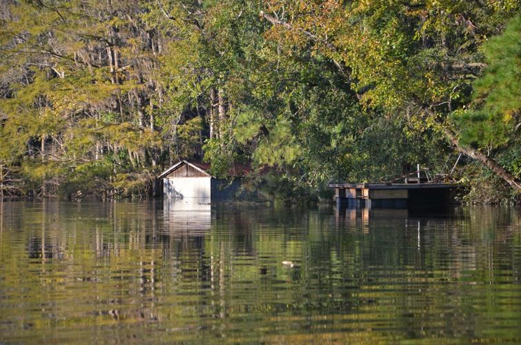 Wetlands need to stem flooding now conserved along SC coast's Black ...