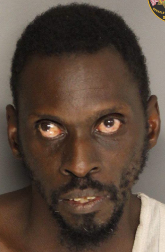 Berkeley Co. deputies arrest St. Stephen man for animal abandonment