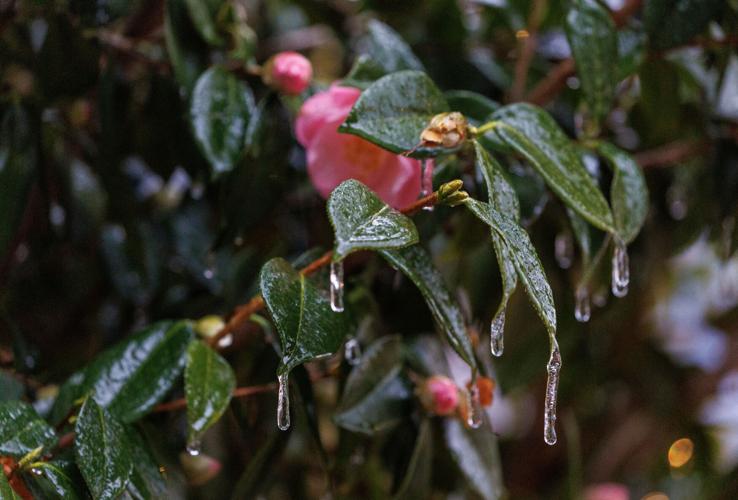 Charleston could see up to 6 inches of snow, NWS says