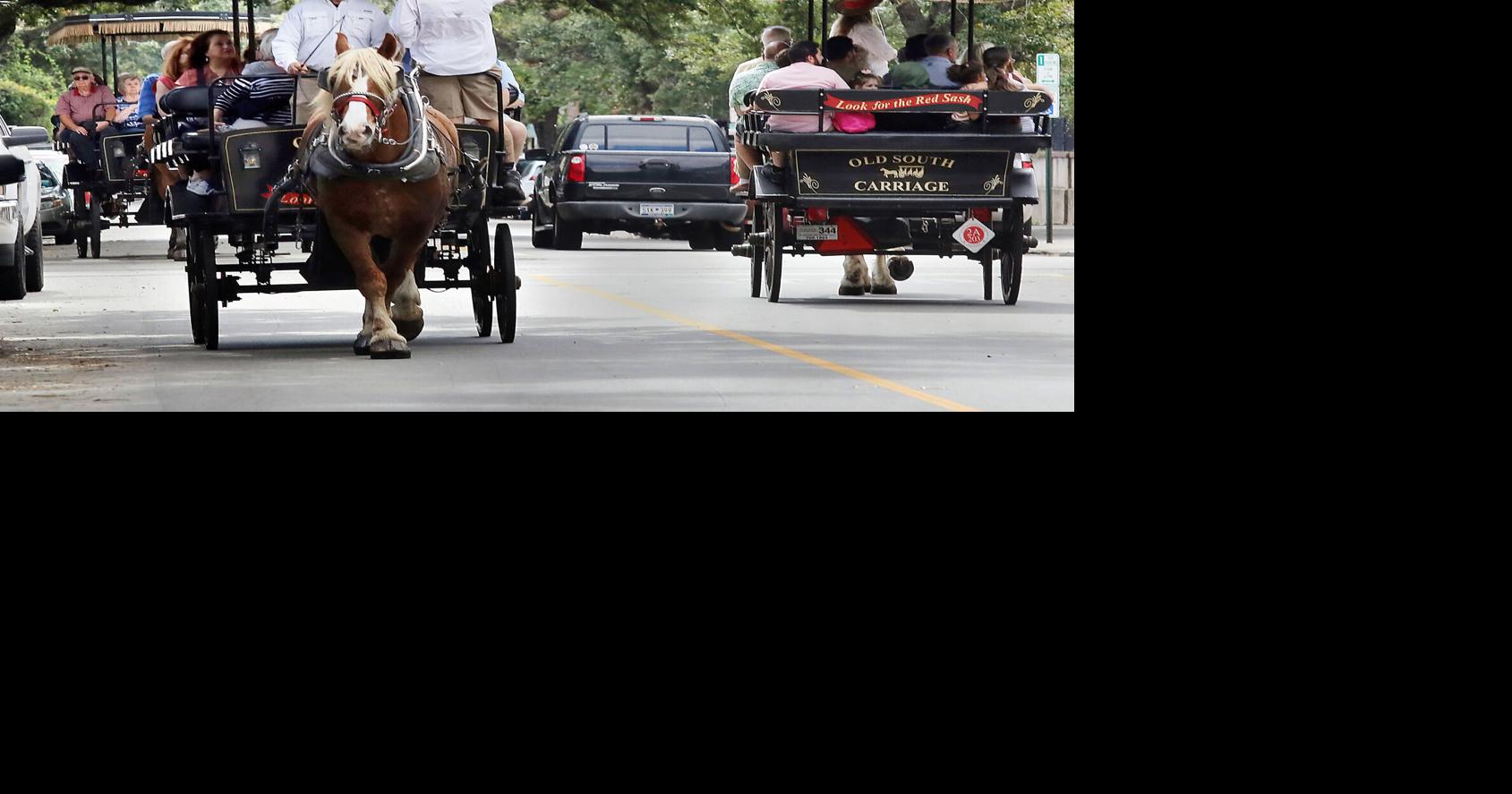 SC tourism is off to 'a strong start,' review of 1Q says | Business ...