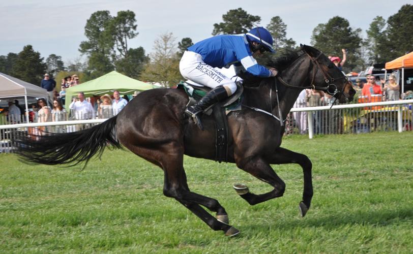 Aiken Spring Steeplechase continues Aiken Triple Crown