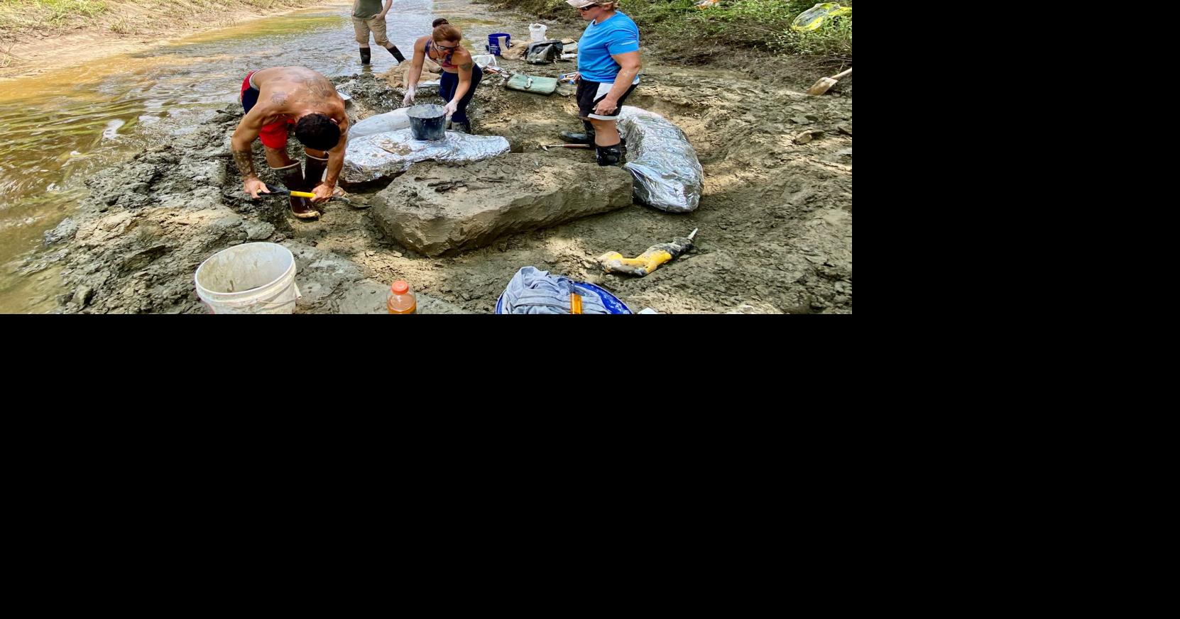 Paleontology team uncovers 29-million-year-old whale in local creek ...