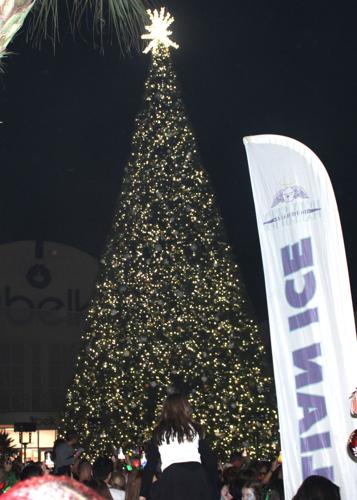 Horticulture Hotline: Shopping for trees? Buy local | Opinion ...