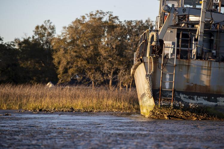 Johns Island ship could be sunk, destroyed after DNR arrest