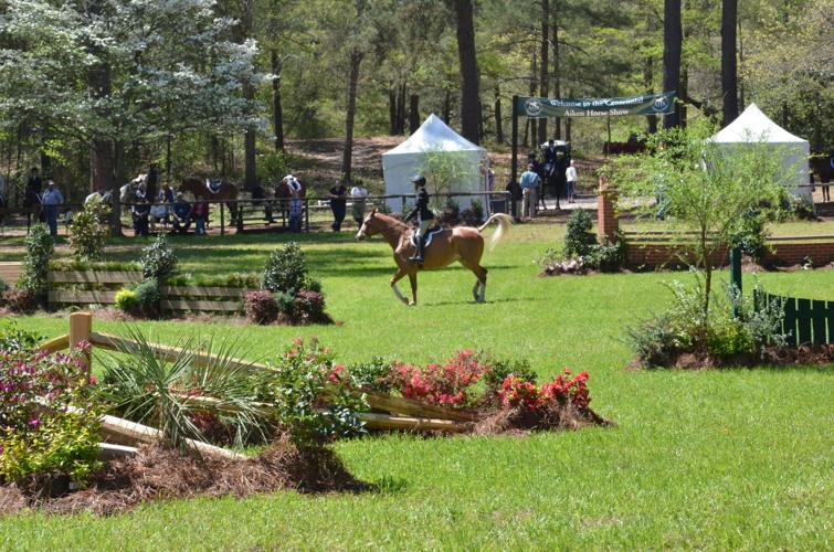 Discover Aiken: Equestrian events are scheduled throughout the year in ...