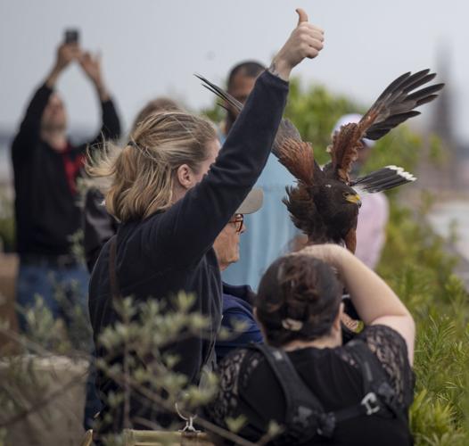 5 highlights from day 1 of the Southeastern Wildlife Expo