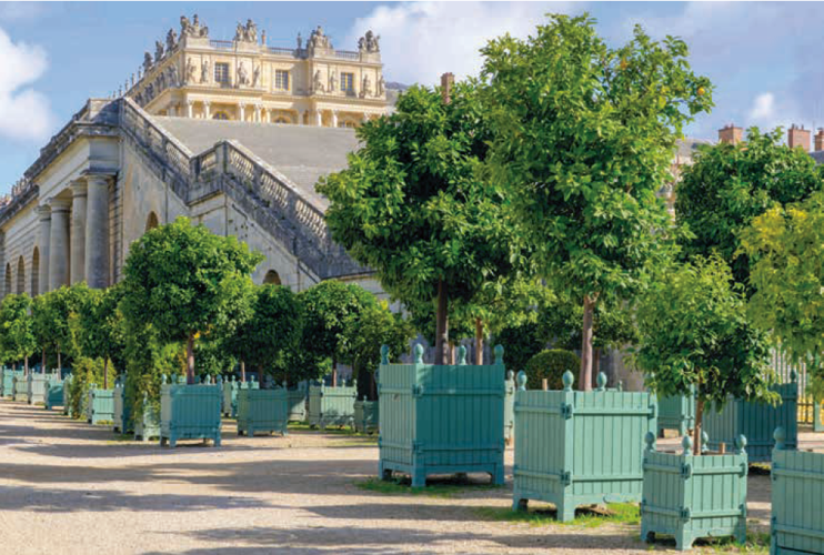 Jardins du Roi Soleil begins US assembly in North Charleston