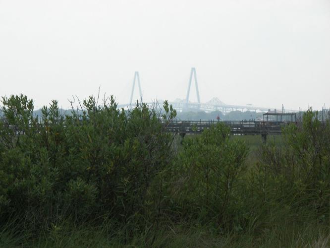 Construction begins on the Arthur Ravenel Bridge 2001 | Photos ...