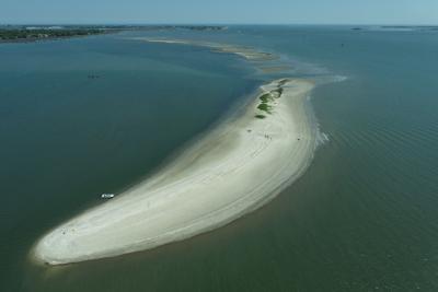 Completed Crab Bank restoration project means more habitat for coastal ...