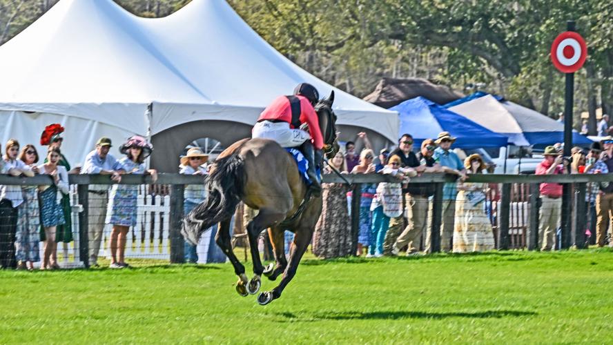 Aiken Spring Steeplechase draws over 30,000 attendees
