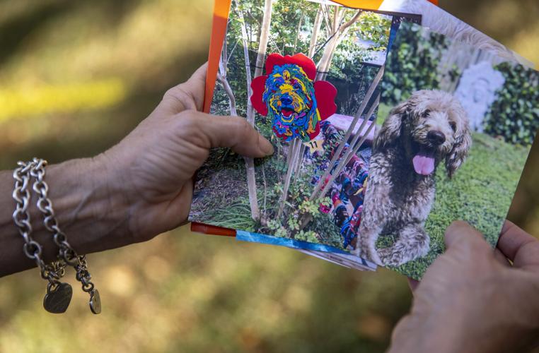Folly Beach's Rainbow Bridge a place to grieve, honor pets