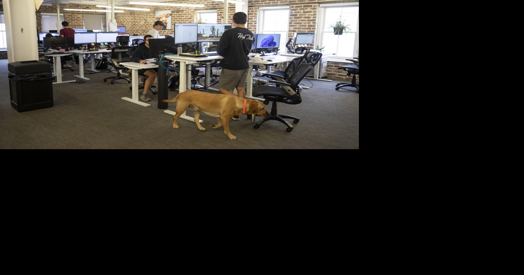 Red Lab Logistics is fastest-growing private business in SC