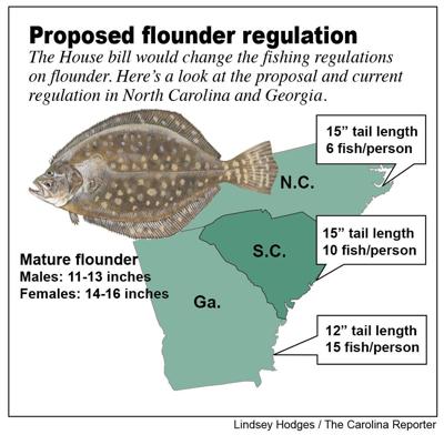 Flounder size limit bill may affect S.C. fishermen | Sports ...